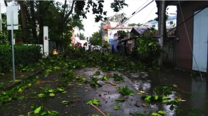 Video Tornado Derriba árboles Y Afecta Viviendas En Mao